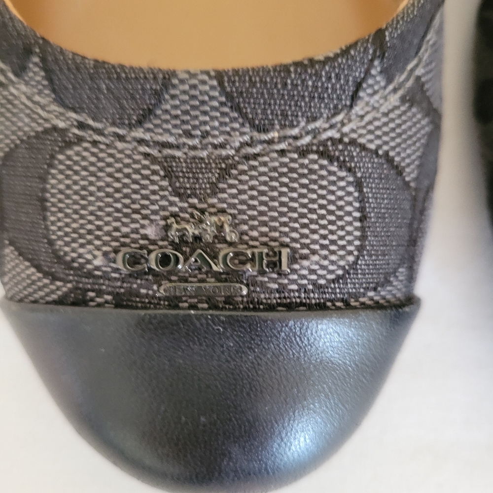 Coach Chelsea Outline Sig Black Smoke/Black S.7.5m - Gem